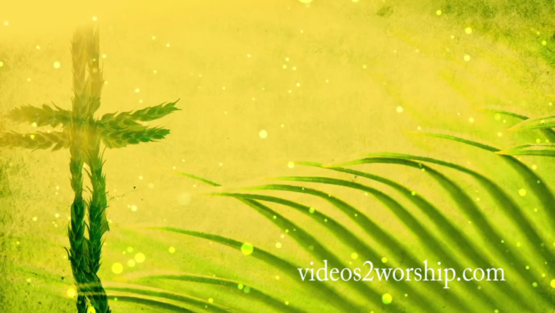 palm sunday motion background | Videos2Worship - Motion Backgrounds And ...