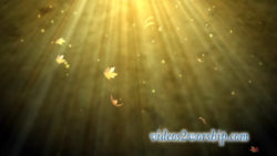 Free Autumn Motion Worship And Golden Bars | Videos2Worship - Motion ...