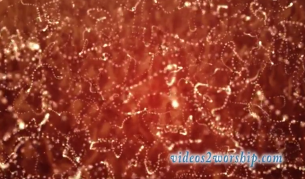 Windows In Video: Title Ready Background | Videos2Worship