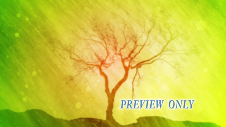 Tree Worship Motion Video Graphics | Videos2Worship