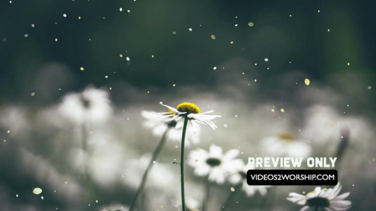 spring worship backgrounds | Videos2Worship