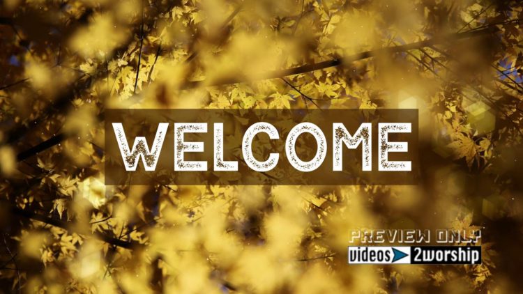 Christmas Nativity Still Slide | Videos2Worship - Motion Backgrounds ...